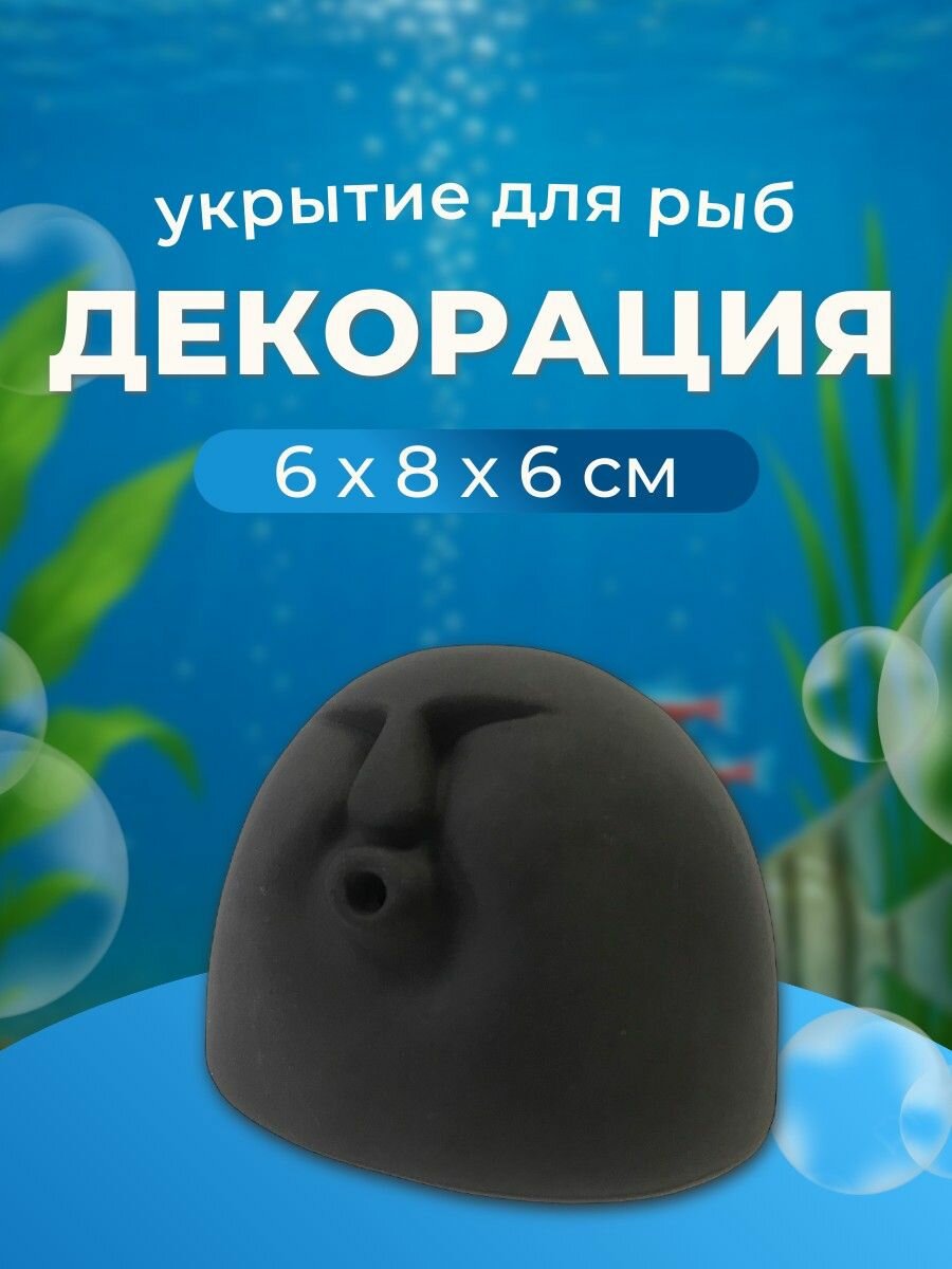 Декорация 1 шт. GLOXY Хумбола Попо 6х8х6 см. Глокси