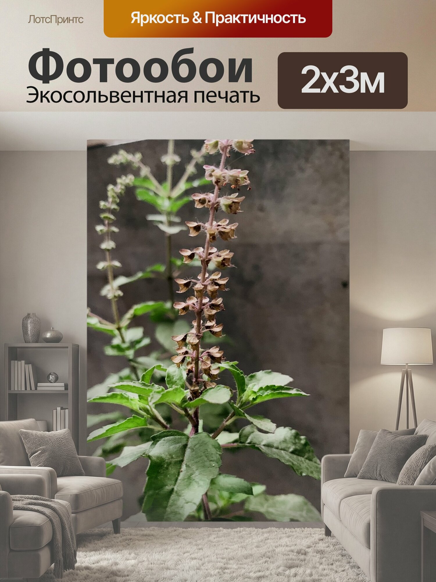 Фотообои "Тулси, святой базилик, аюрведа" 200x300 см. экосольвентная печать