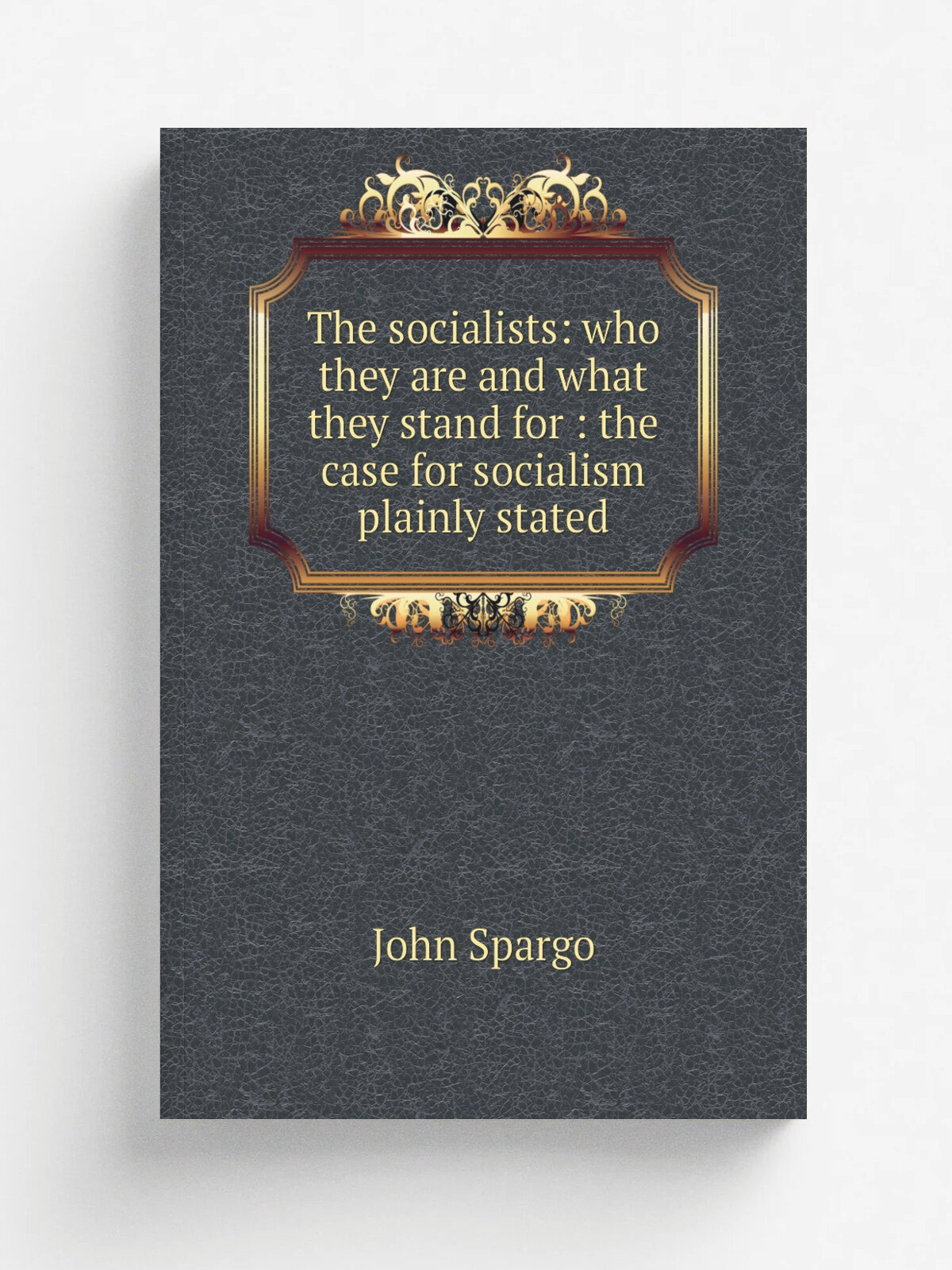 The socialists: who they are and what they stand for : the case for socialism plainly stated