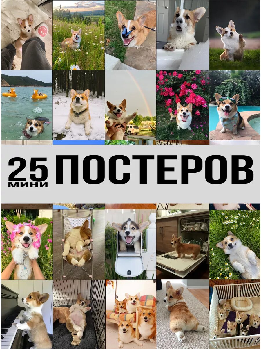 Постеры Корги Карточки