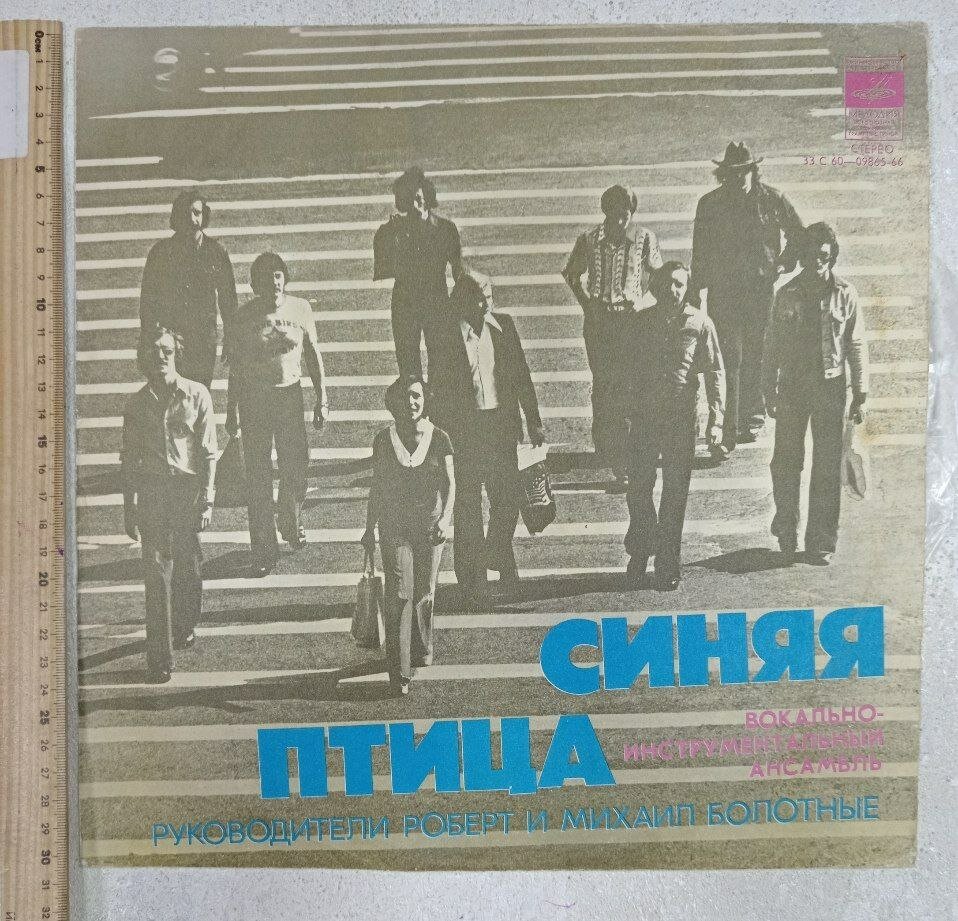 Синяя птица. Вокально-инструментальный ансамбль