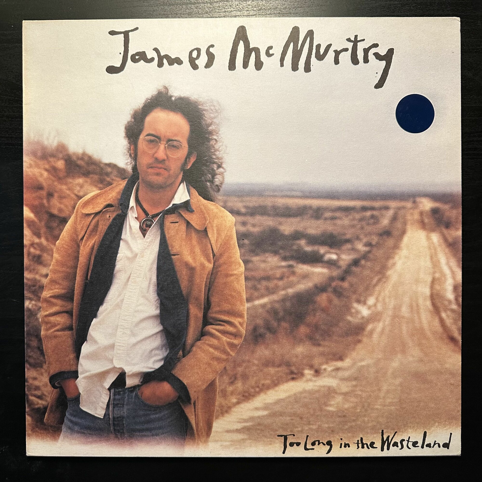 Виниловая пластинка James McMurtry Too Long In The Wasteland (Голландия 1989г.)