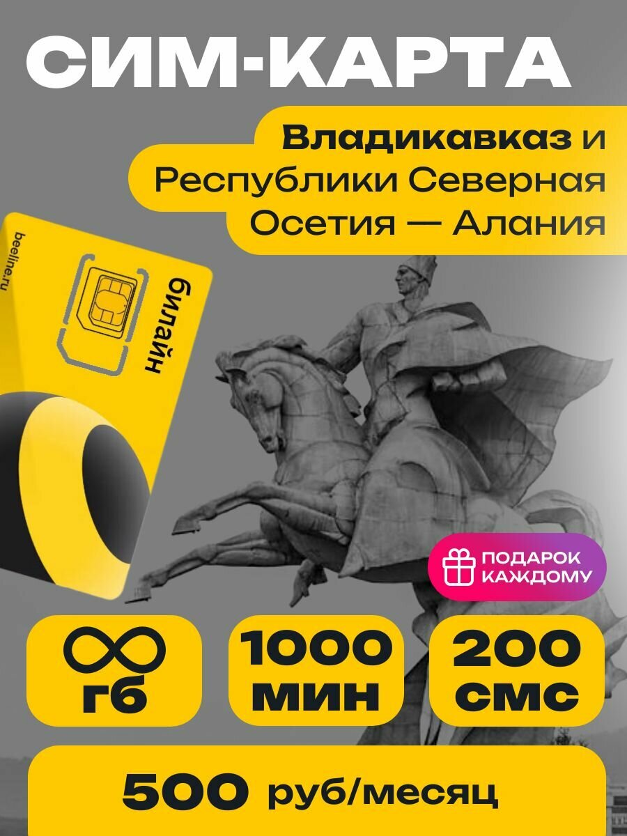 Сим-карта Билайн тариф Эксклюзивный Онлайн Республика Северная Осетия-Алания Безлимитный интернет и 1000 минут за 500 руб.