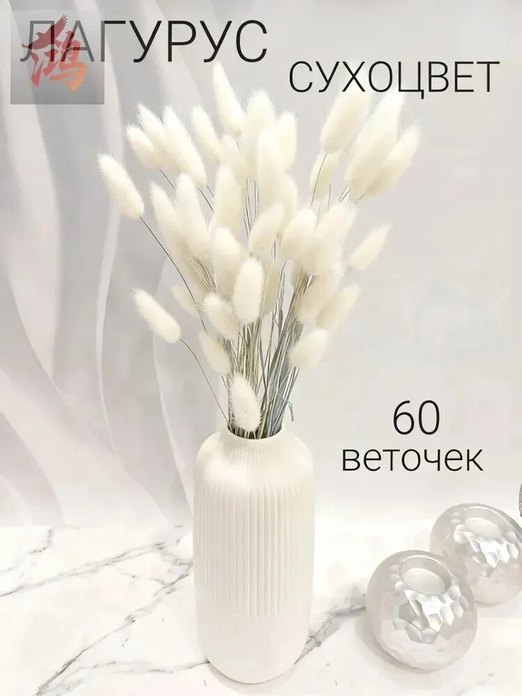 Сухоцветы Лагурус, 55 см, 100 гр, 60 шт