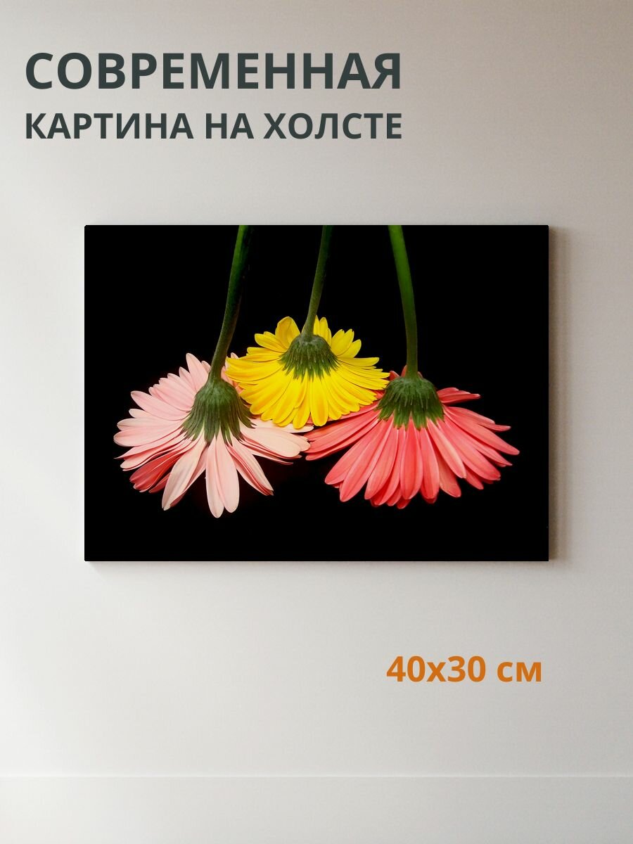 Картина на холсте Цветочная композиция 40x30 см