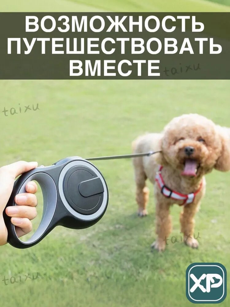 Поводок — фото 1