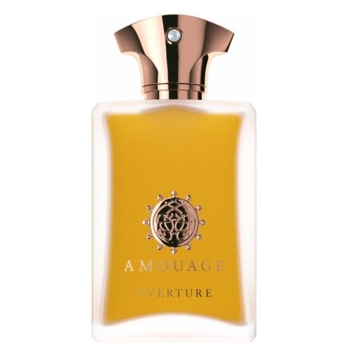 Amouage Overture Man — фото 1