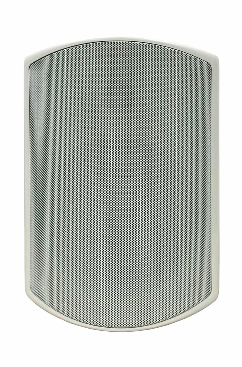 SVS Audiotechnik WSP-6W Pro Всепогодная трансляционная акустическая система