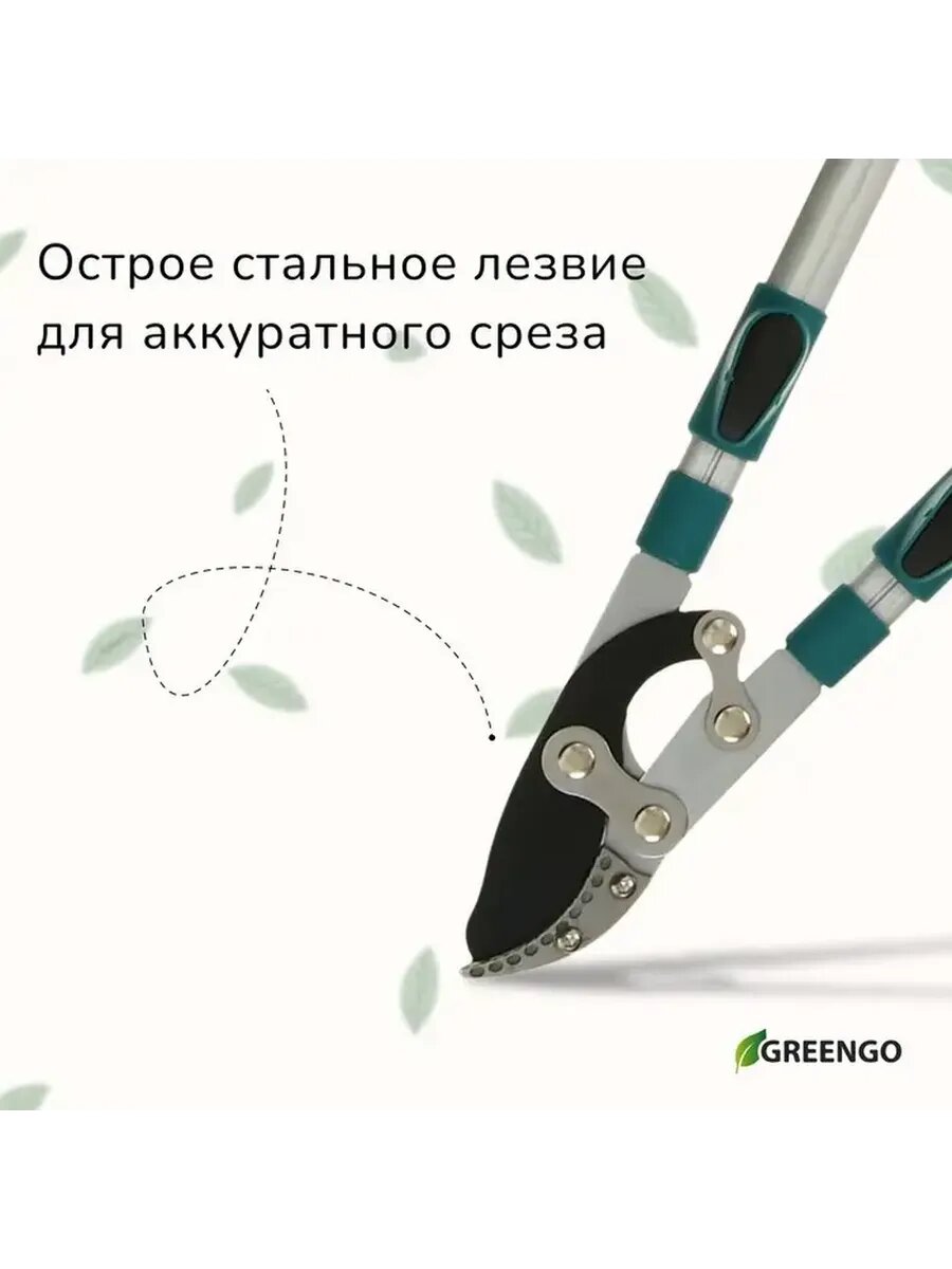 Профессиональный телескопический сучкорез