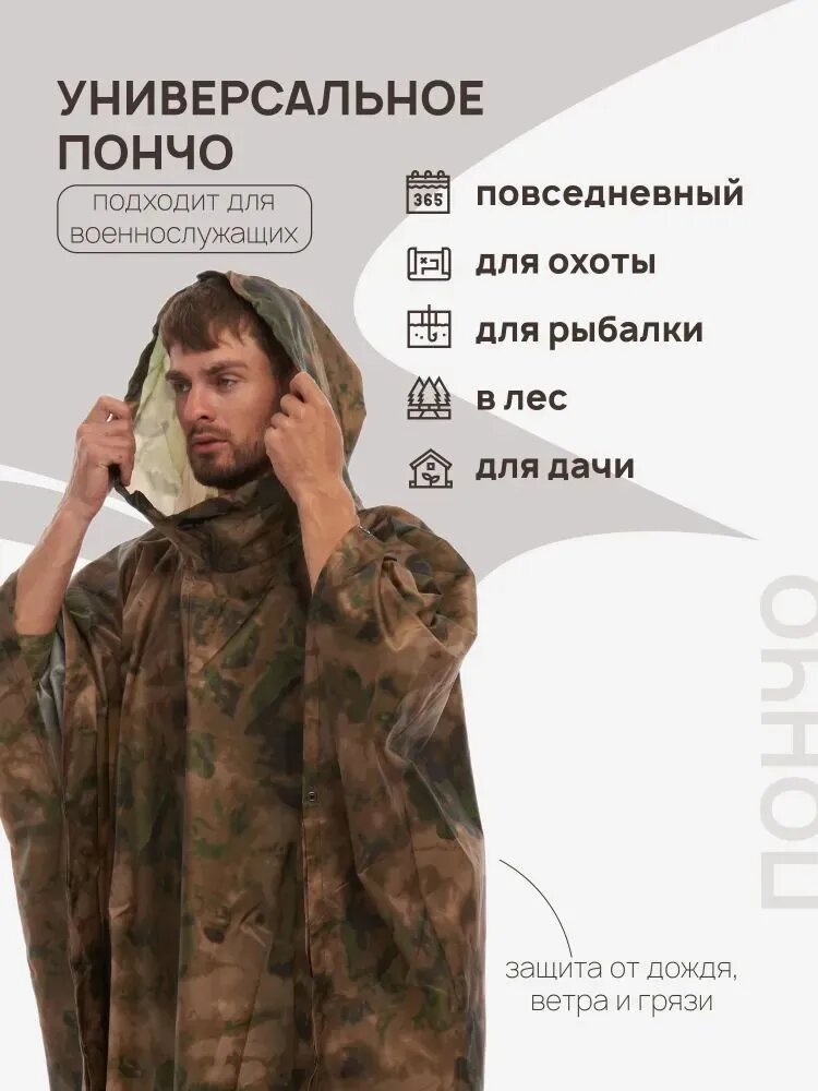 Дождевик эгистактик — фото 1