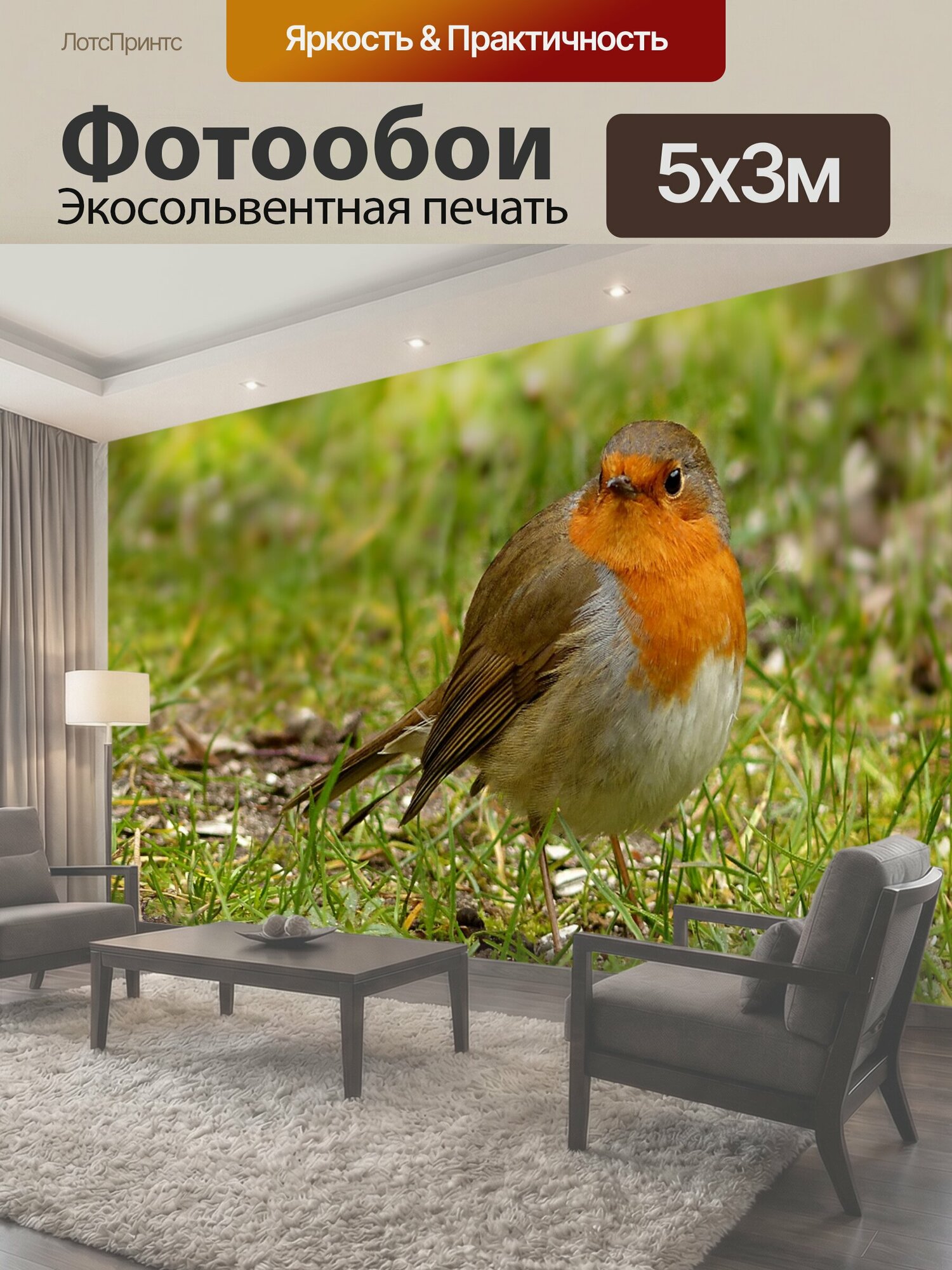 Фотообои "Робин, rubecula зарянки, птица" 500x300 см. экосольвентная печать