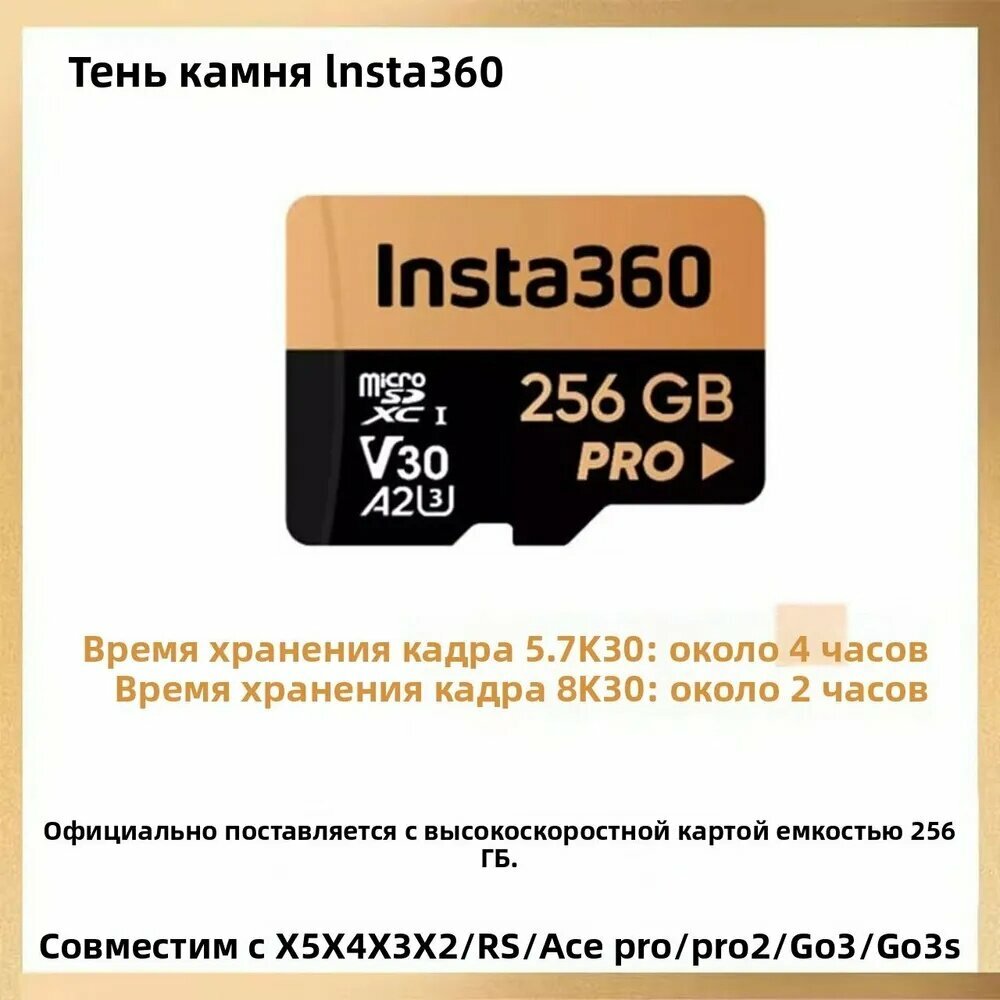 Insta360 256GB: карта памяти EAC (MicroSD, V30, A2, UHS-I)