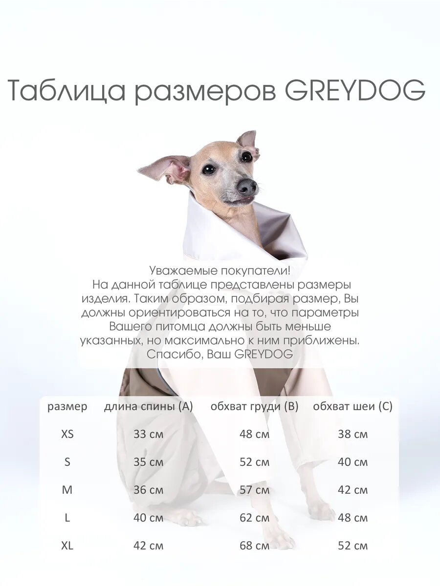 Комбинезон дождевик для собак GREYDOG — фото 1