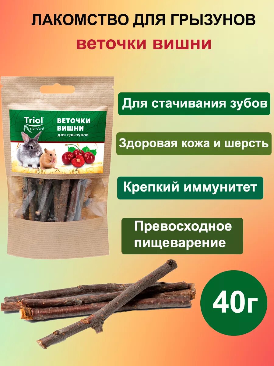 Веточки вишни
