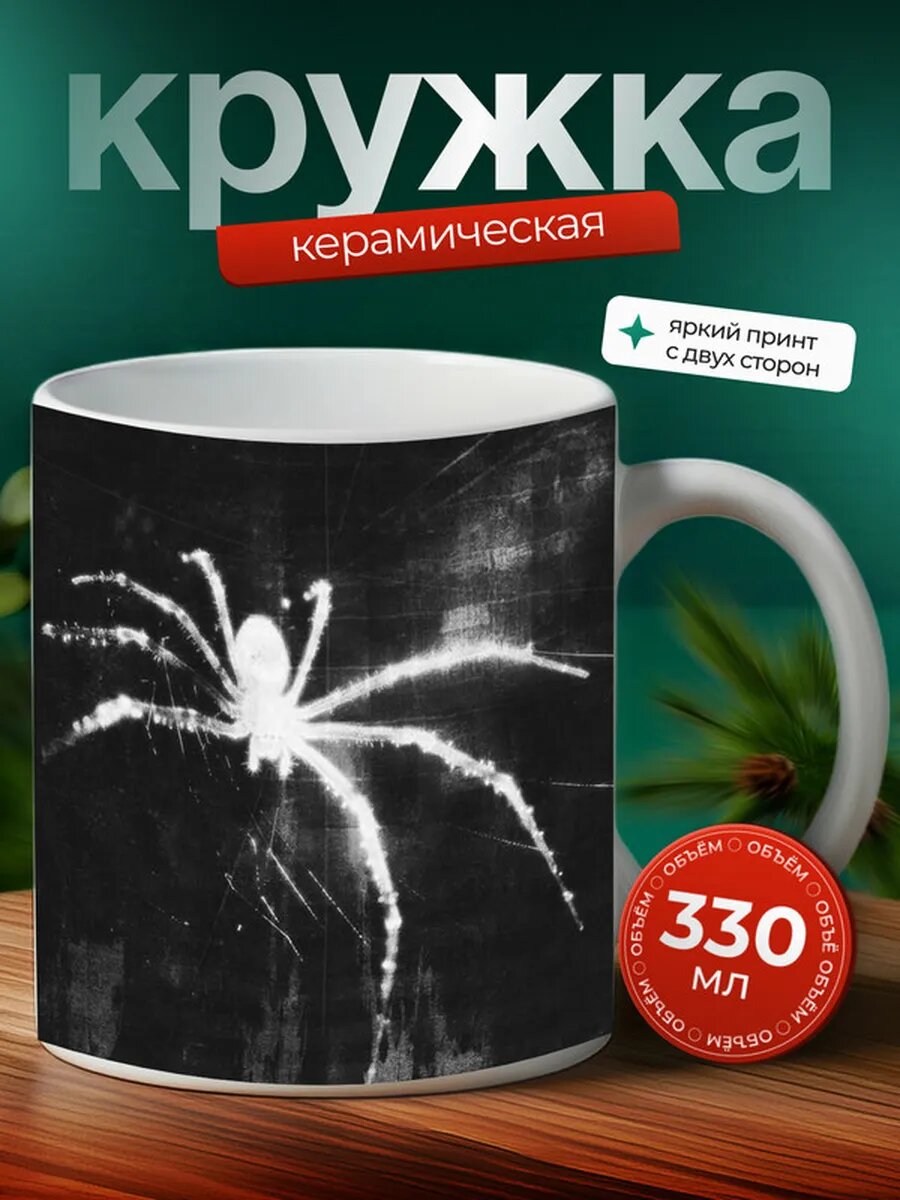 Кружка Паук-серебрянка паукообразное 4,