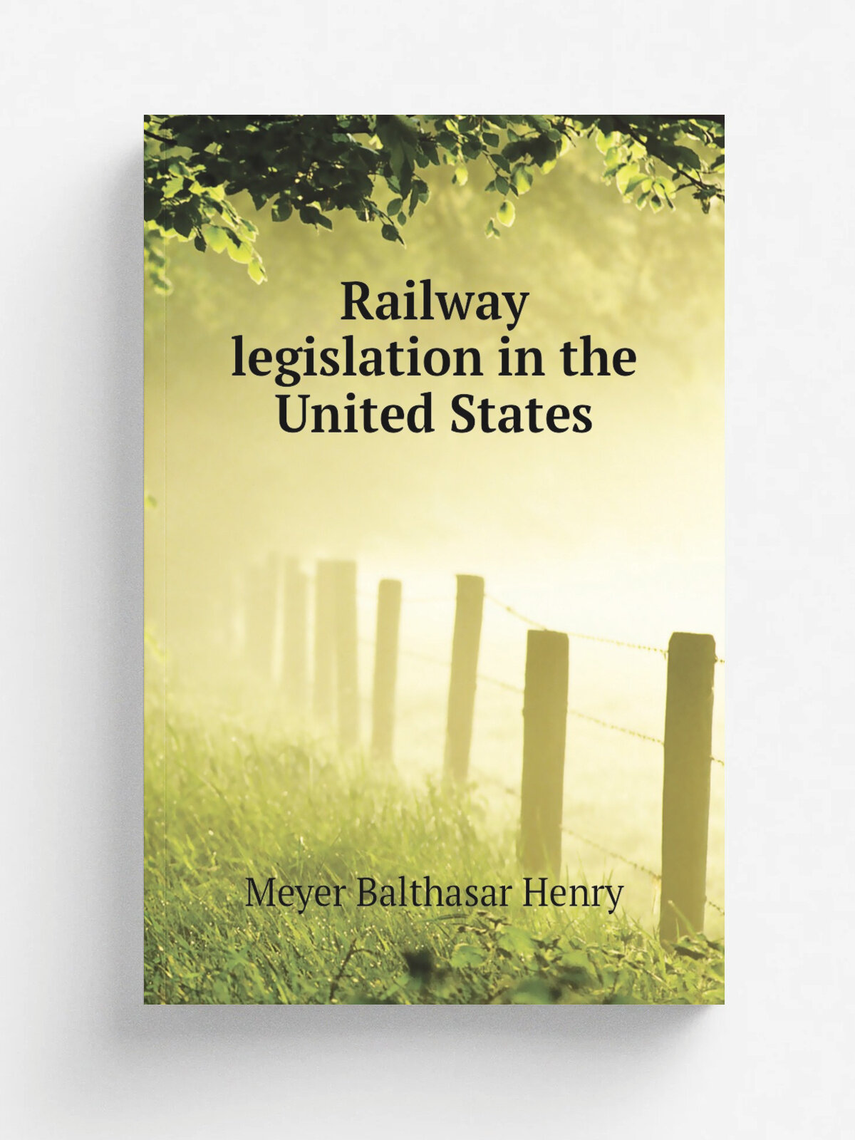 Railway legislation in the United States | Meyer Balthasar Henry | Репринт