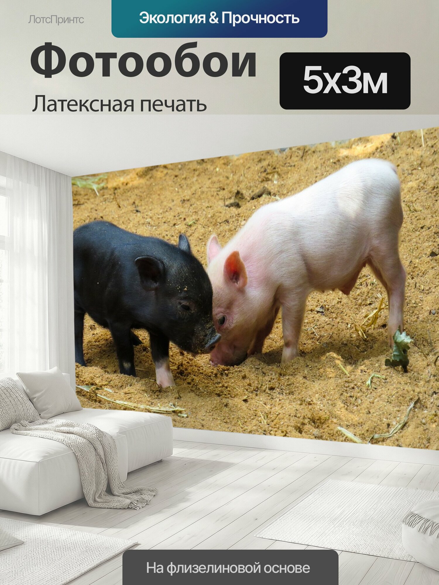 Фотообои моющиеся ударопрочные "Животное, свинья, поросенок" 500x300 см. латексная печать