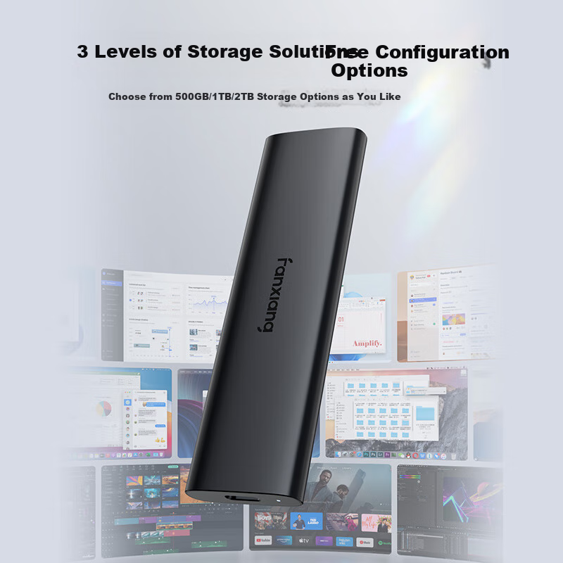 FANXIANG 500ГБ портативный SSD-накопитель Type-C USB 3.2 1000 МБ/с для телефона и ноутбука Ёмкость：500ГБЦвет：PS1008