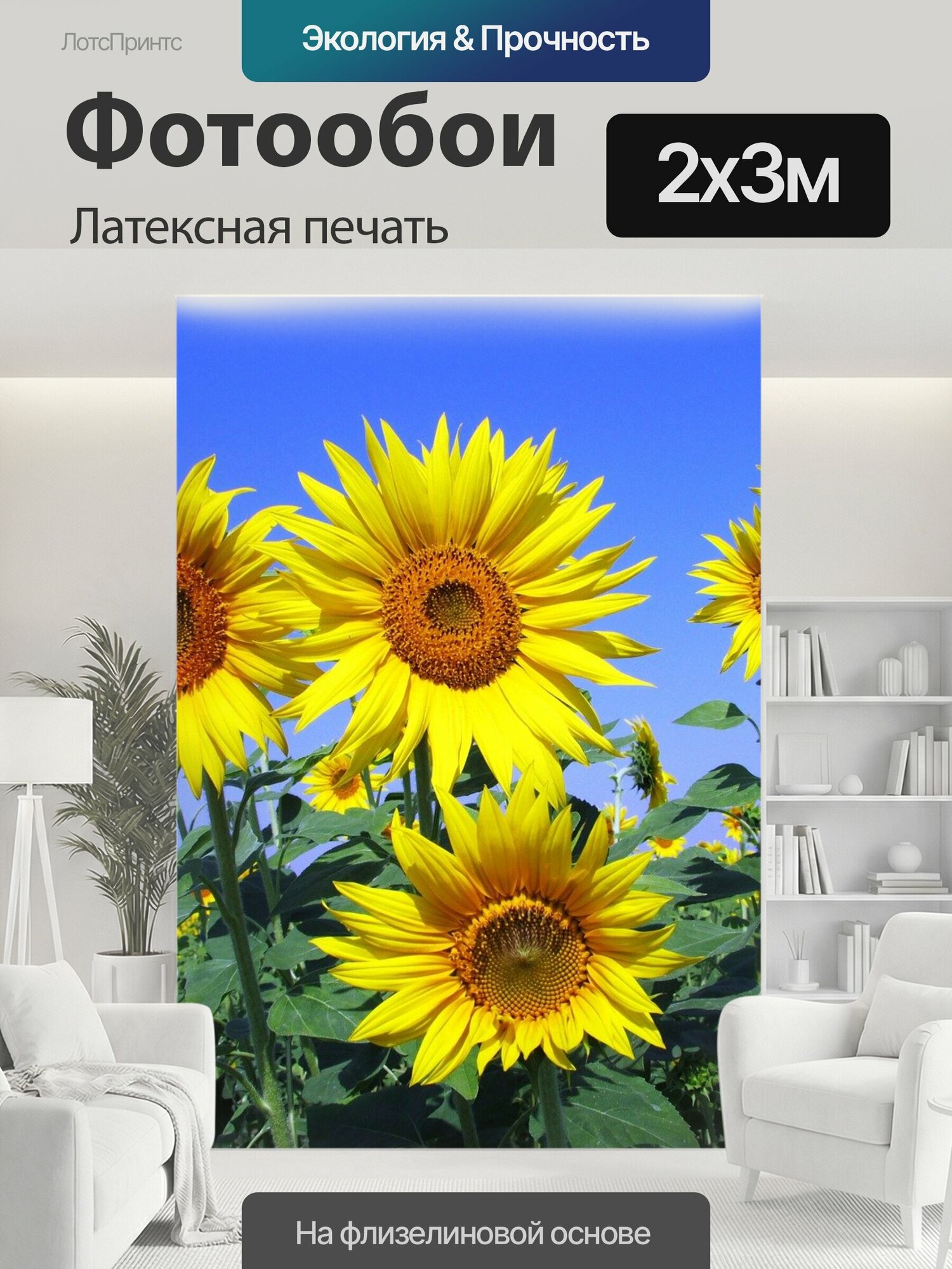 Фотообои моющиеся ударопрочные "Подсолнухи, подсолнечник, желтый" 200x300 см. латексная печать