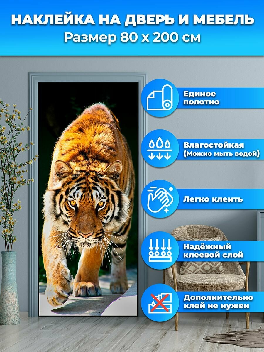 Наклейка интерьерная на дверь "Тигр", 80 х 200 см. самоклеющаяся