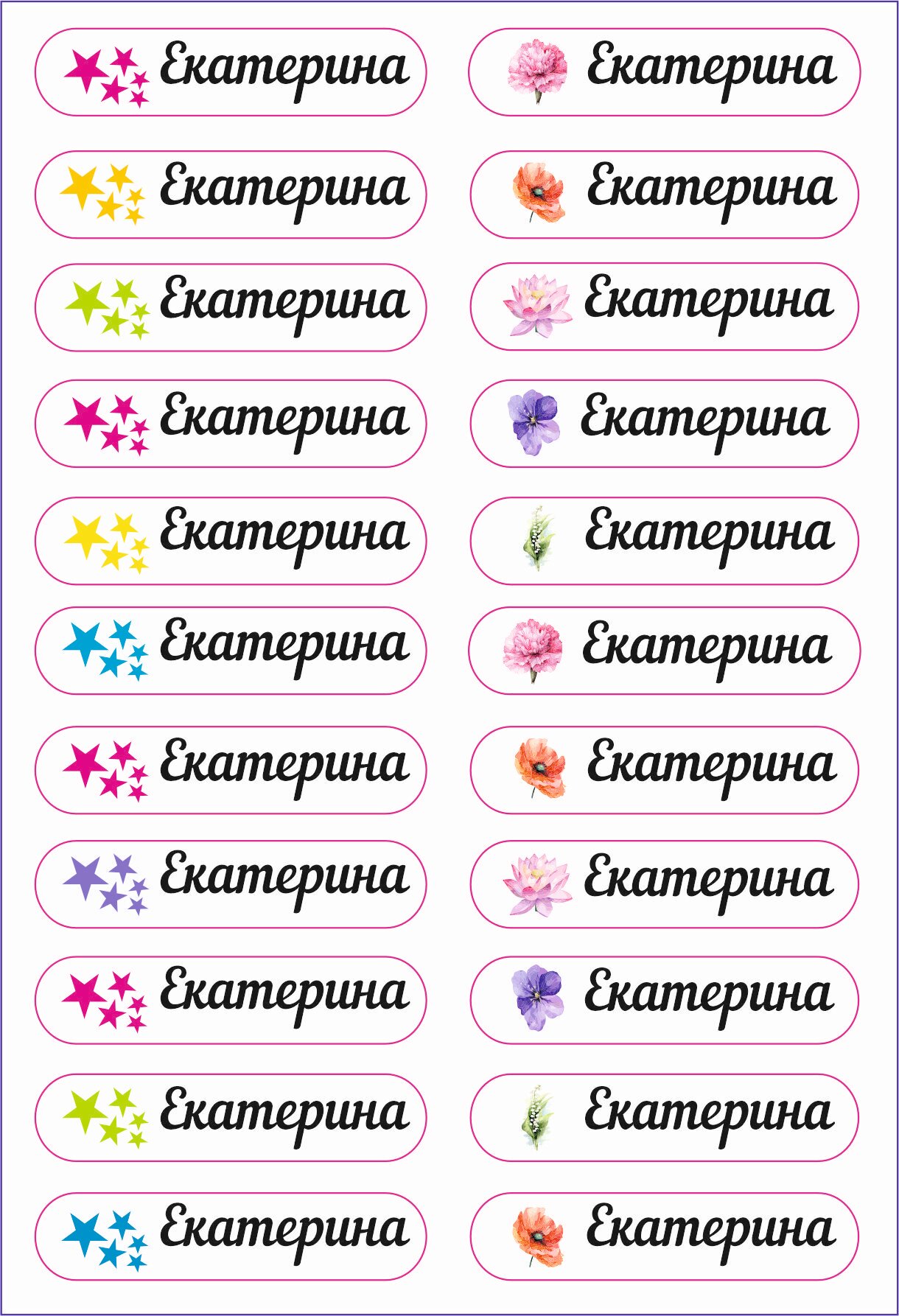 Наклейки 66 шт на тетради и ручки именные Екатерина