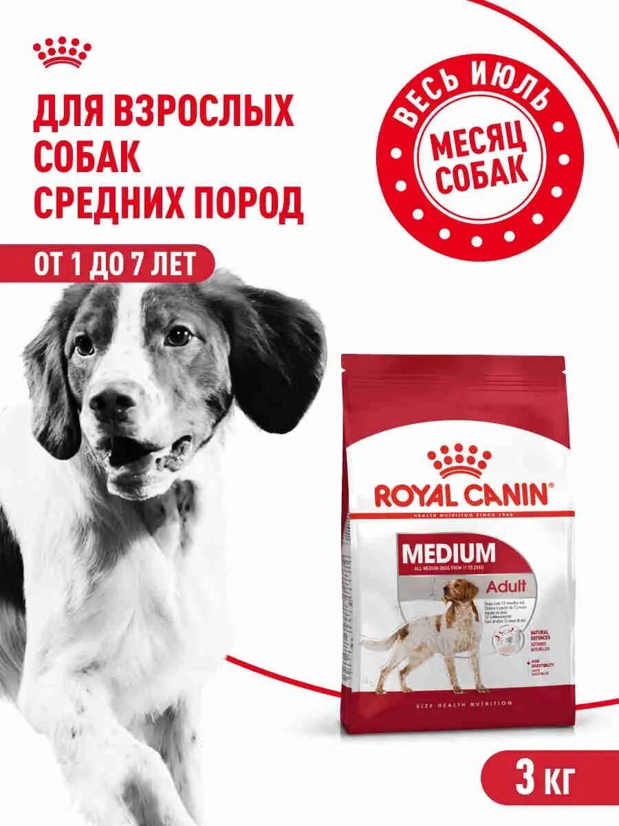Сухой корм для собак Royal Canin Medium Adult для средних пород, 3 кг