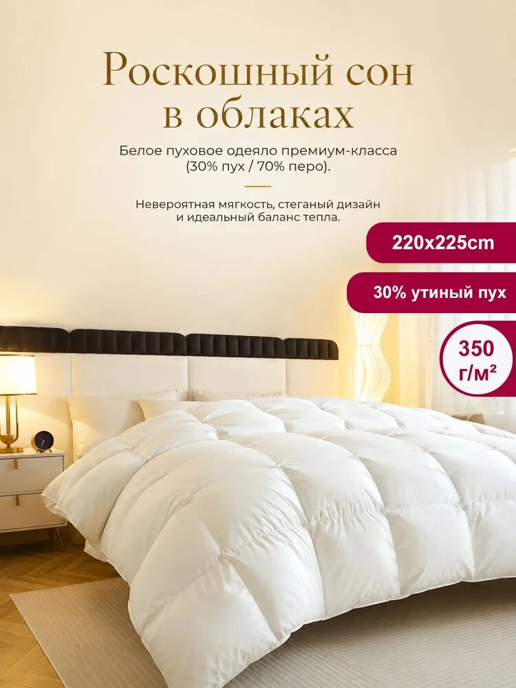 Easyum Одеяло220x225 см, Зимнее, с наполнителем Пух-перо, комплект из 1 шт