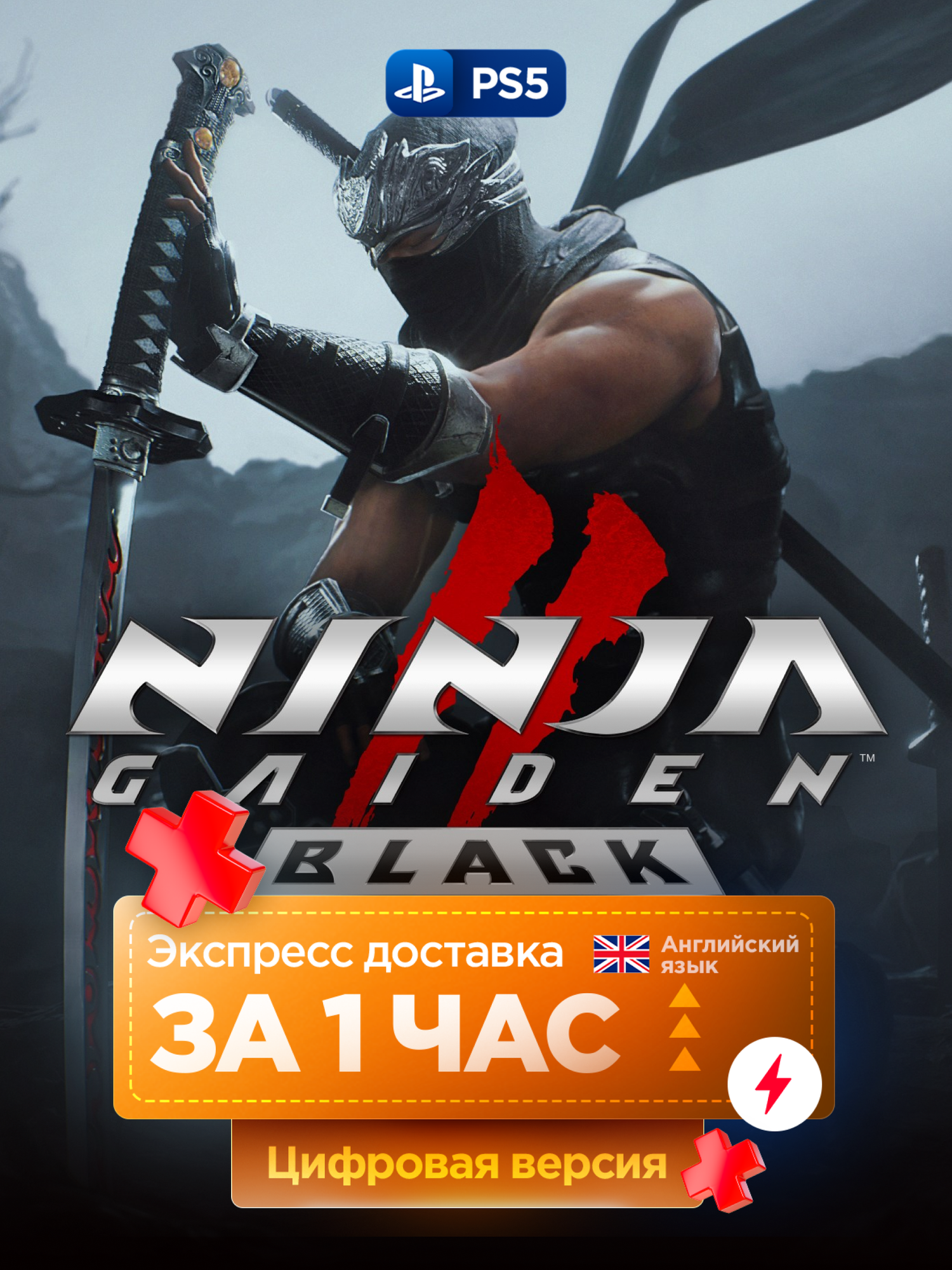 Игра NINJA GAIDEN 2 Black для PlayStation 5 | Английский язык | PS5