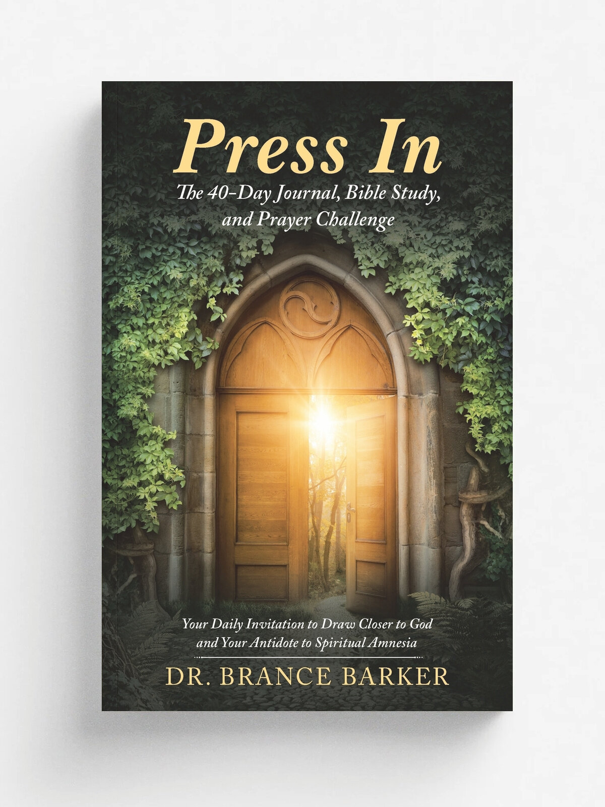 Press In. The 40-Day Journal, Bible Study, and Prayer Challenge