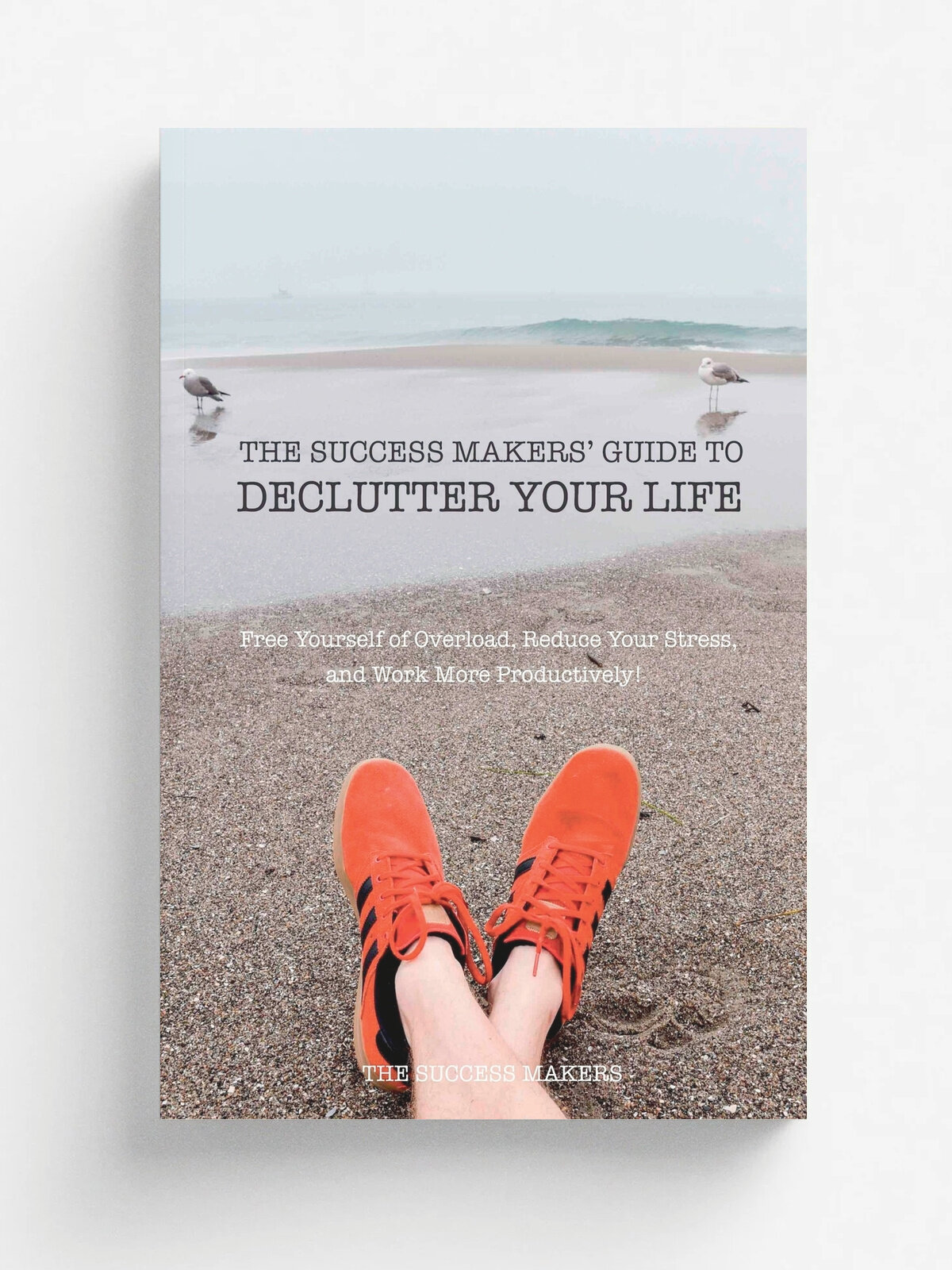 The Success Makers' Guide To Declutter Your Life