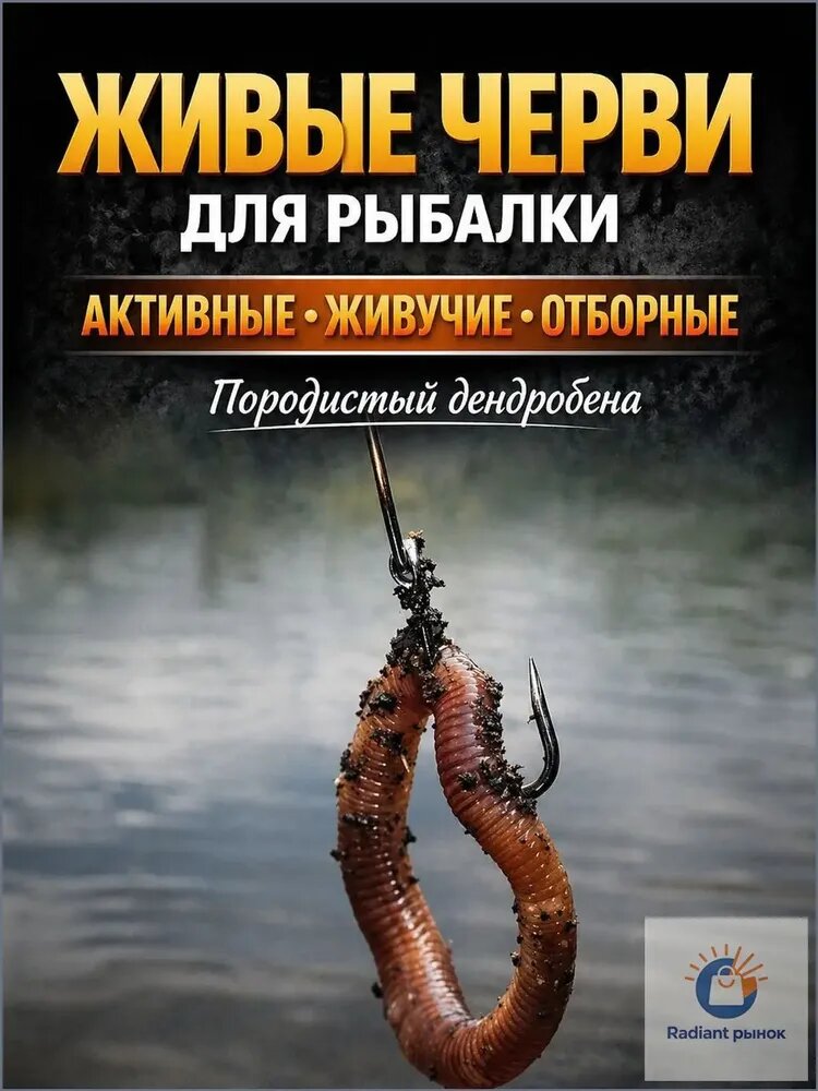 Живые черви Дендробена для рыбалки, 20г. живая насадка, для карася, леща и многой другой рыбы, рыба клюет