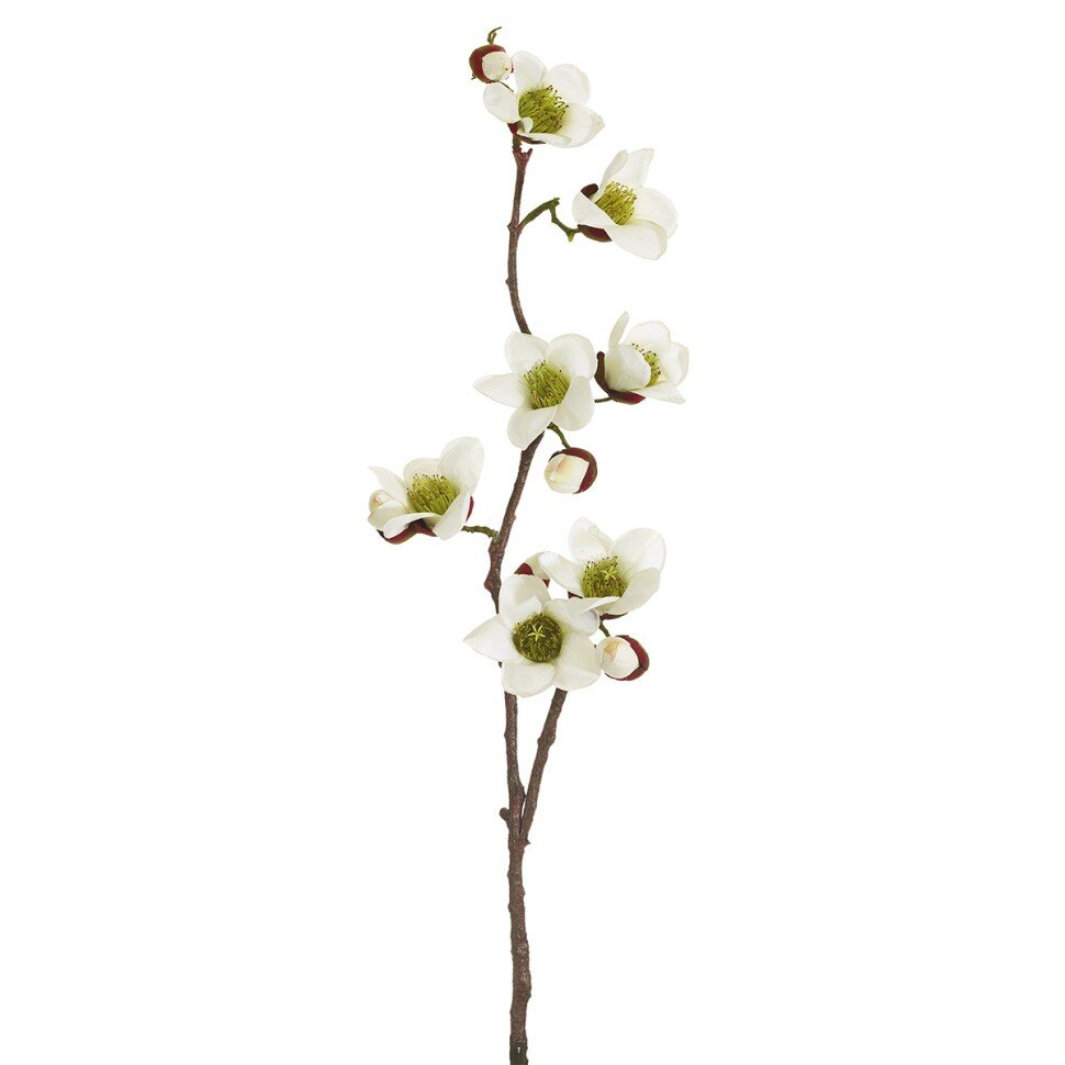 Fiebiger Floristik 208490-130 Ветка декоративная "Купена", 112 см
