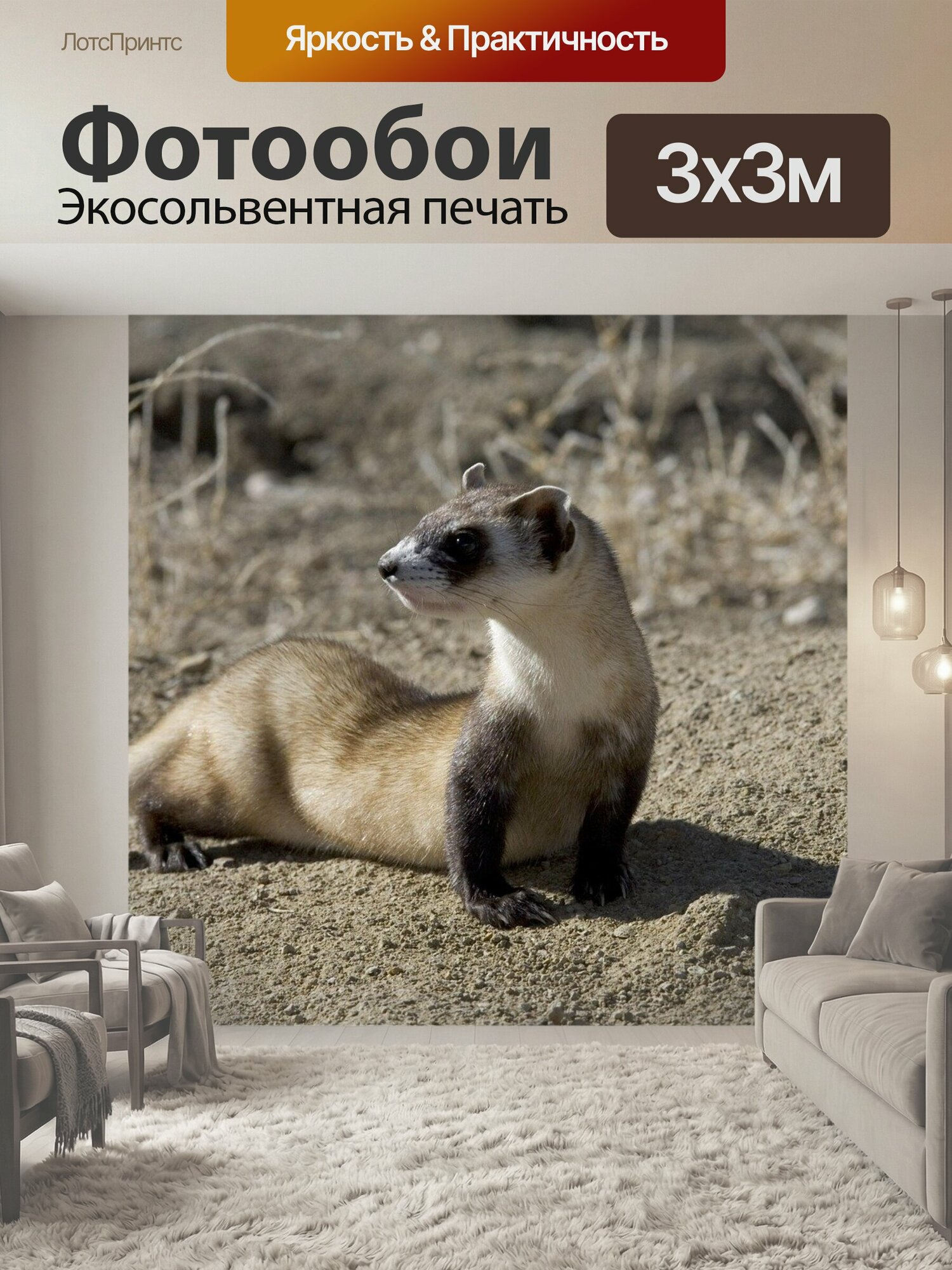 Фотообои "Картина, хорек, на ногах" 300x300 см. экосольвентная печать