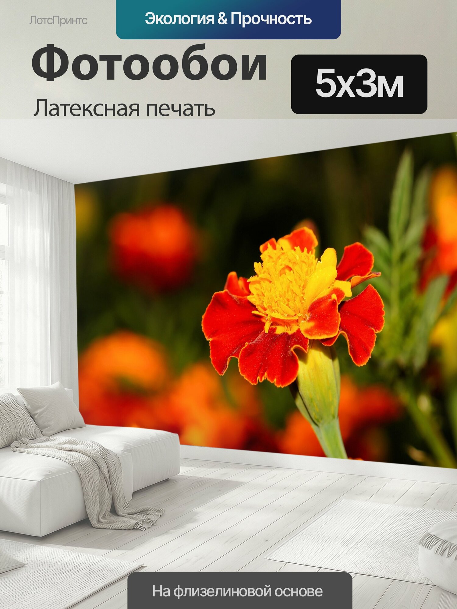 Фотообои моющиеся ударопрочные "Бархатцы, цветок, цвести" 500x300 см. латексная печать