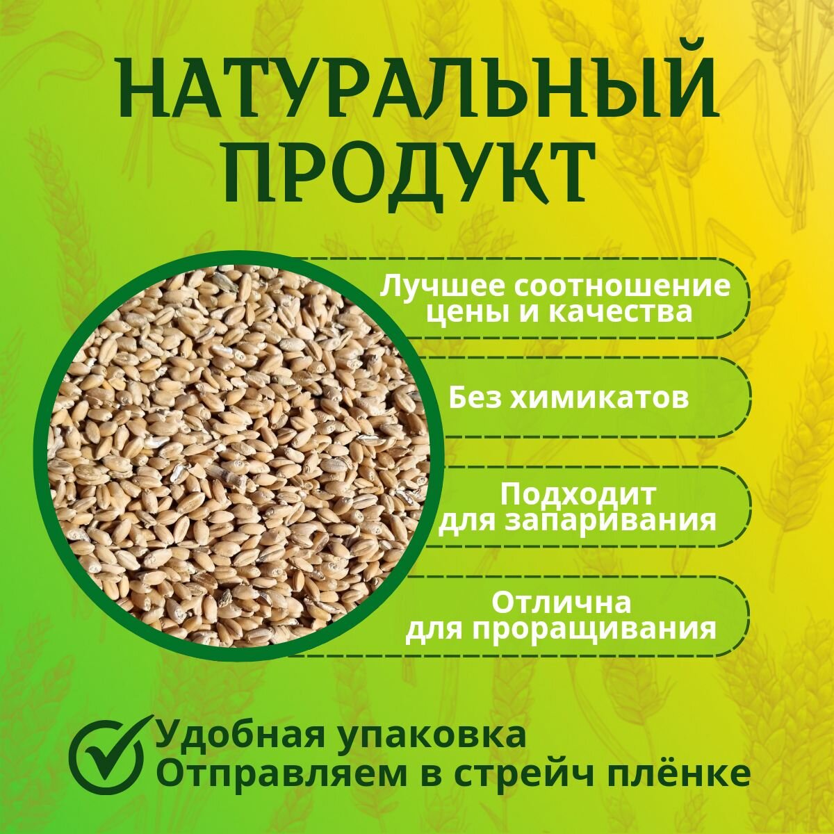 Пшеница 5кг. зерно — фото 1