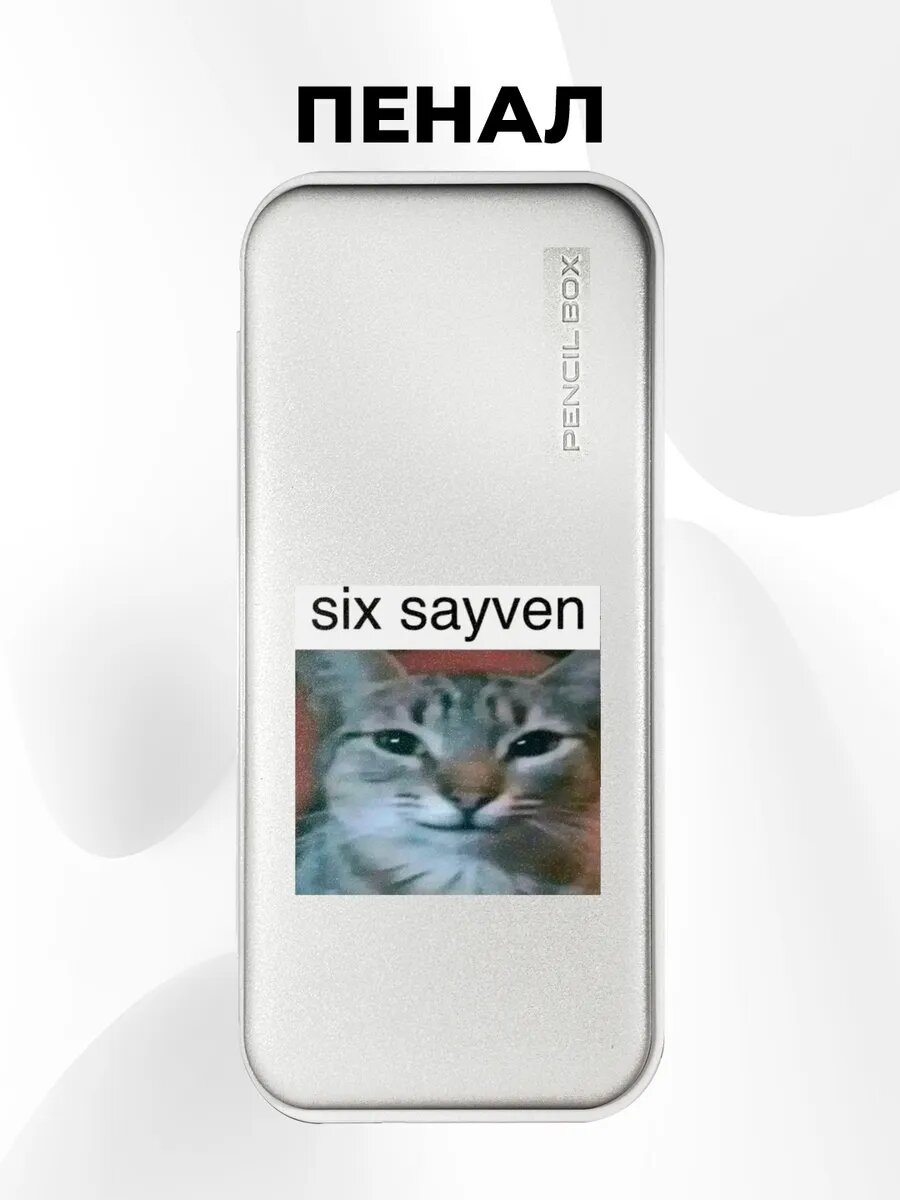 Пенал жесткий с принтом 67 Six Seven мем кот