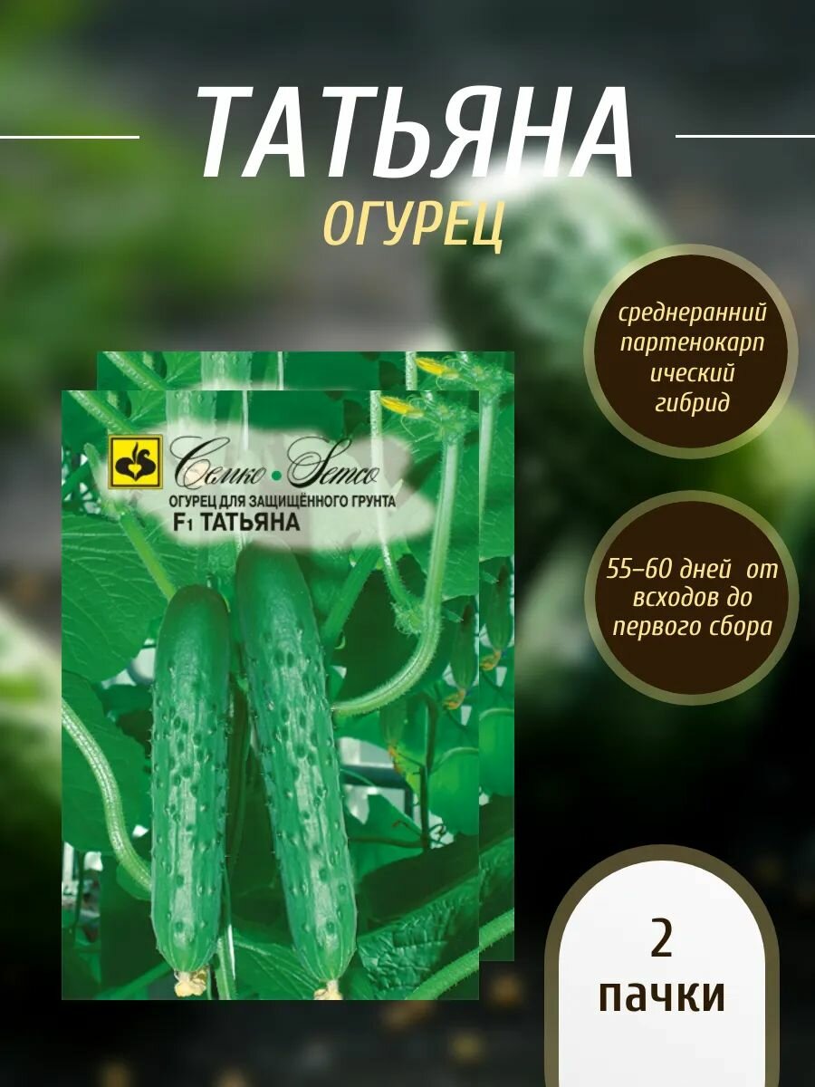 Огурец Татьяна F1, 2 пачки по 5 семян
