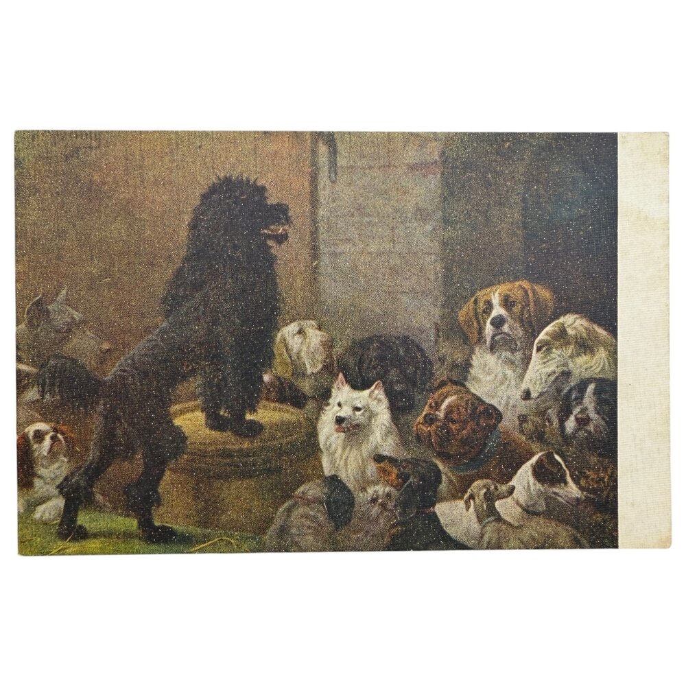 Почтовая открытка "Штокс - Собачий парламент" 1920-1930 гг. СССР