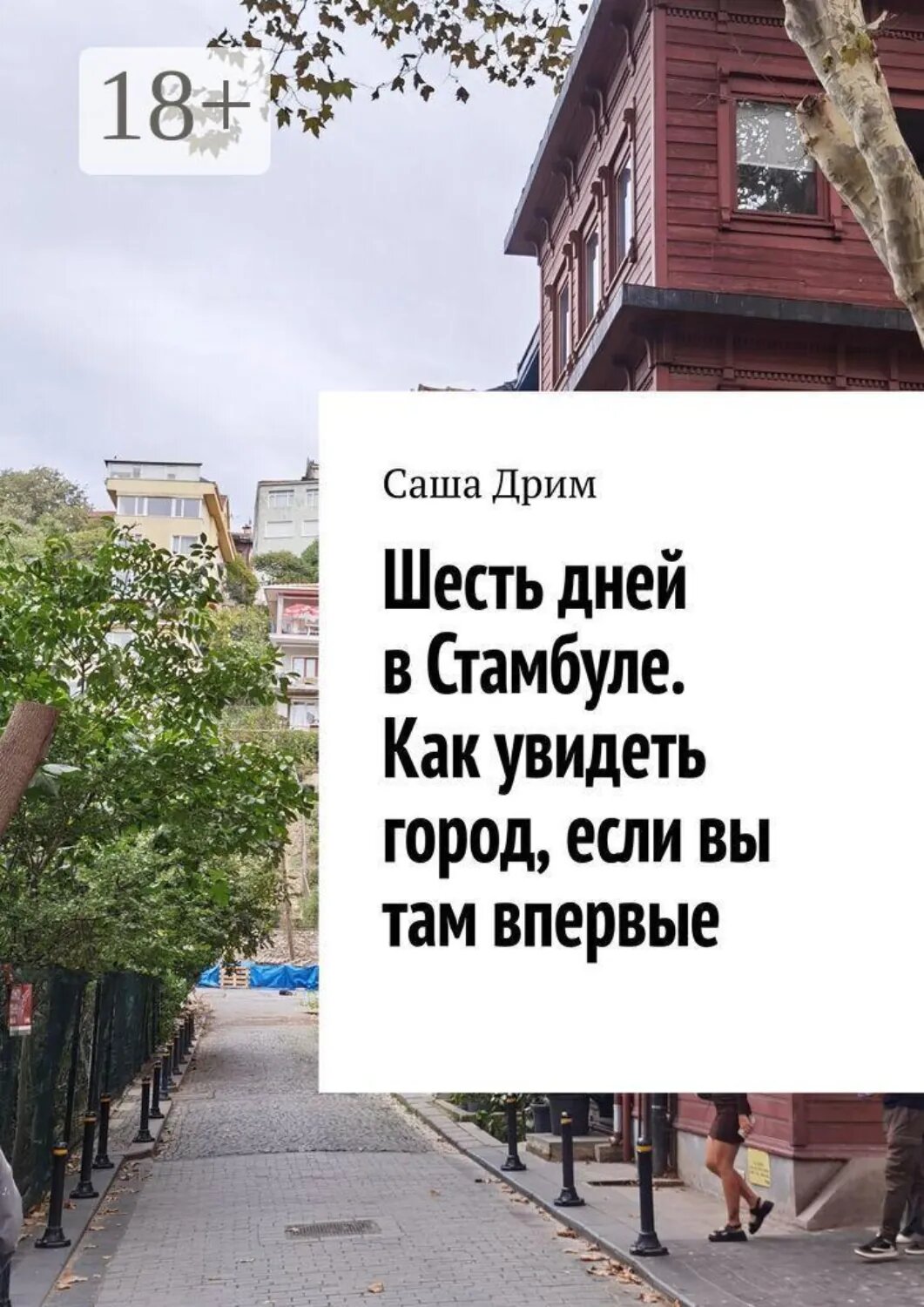 Шесть дней в Стамбуле. Как увидеть город, если вы там впервые [Цифровая книга]