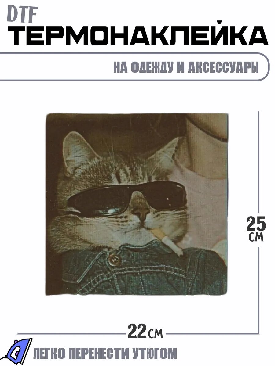 Термонаклейка Кот в очках