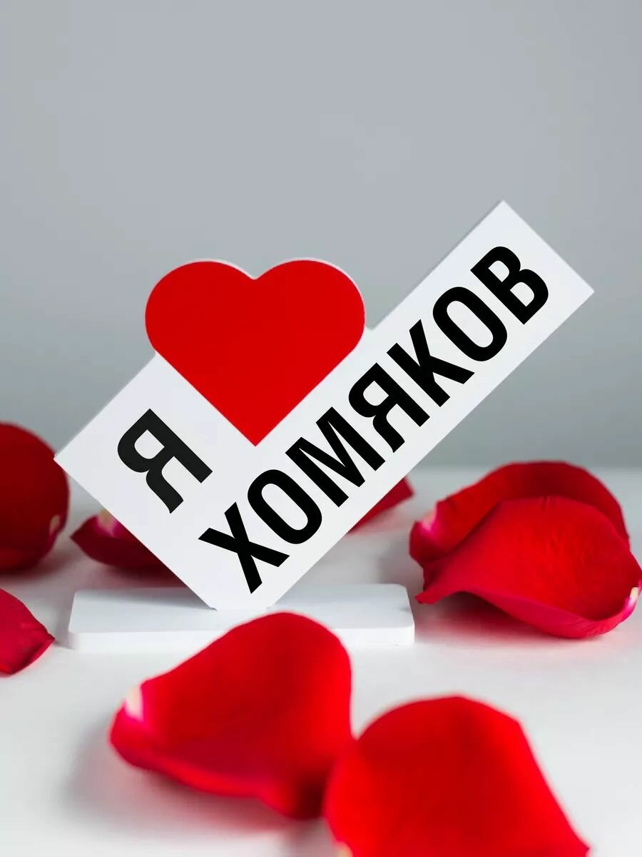 Подарок себе, мини стела я люблю хомяков