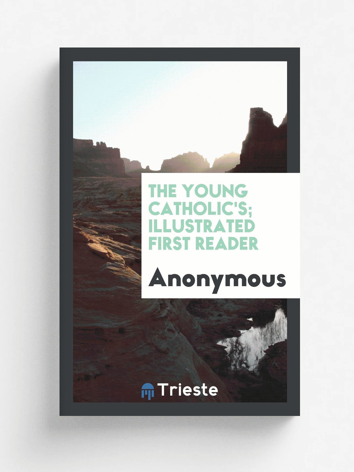 The Young Catholic's; Illustrated First Reader