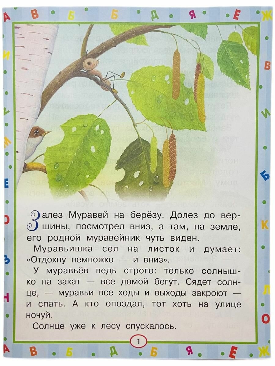 Приключения Муравьишки — фото 1