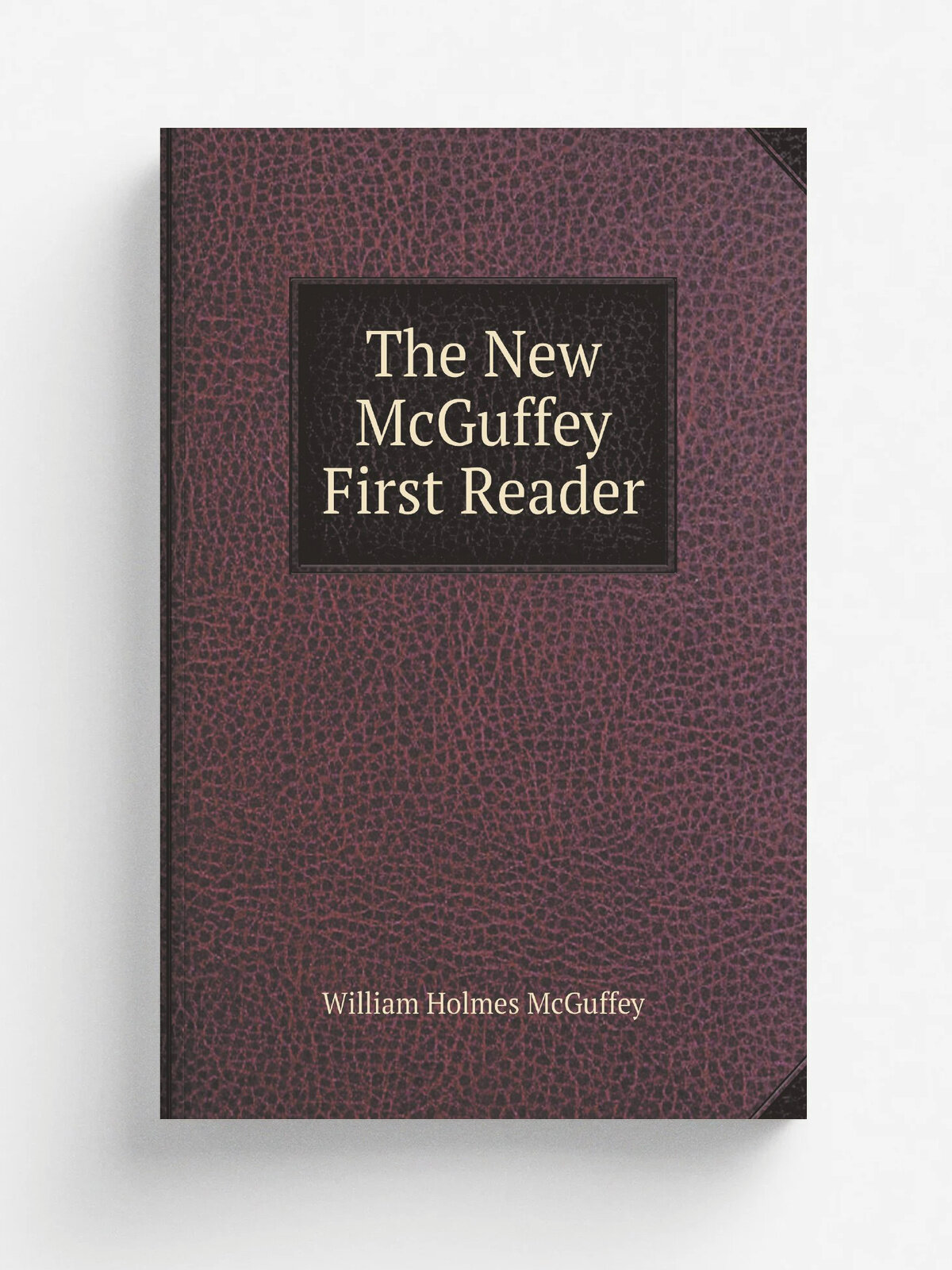 The New McGuffey First Reader