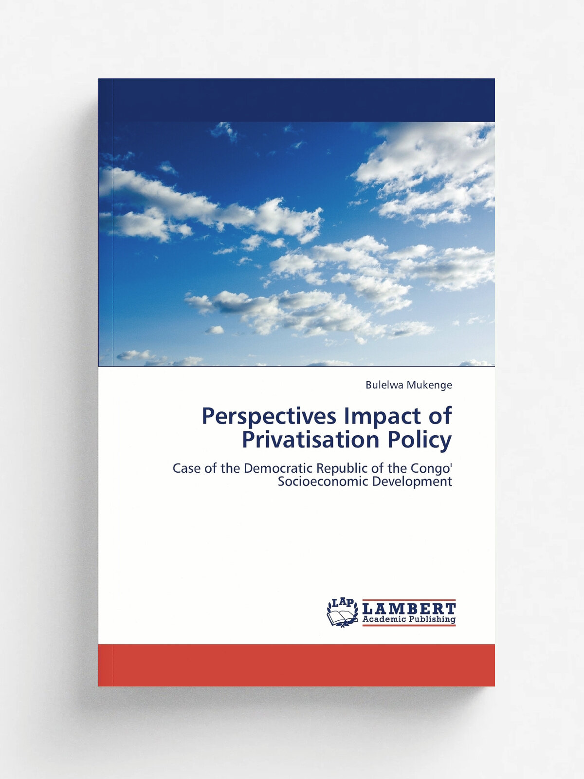 Perspectives Impact of Privatisation Policy