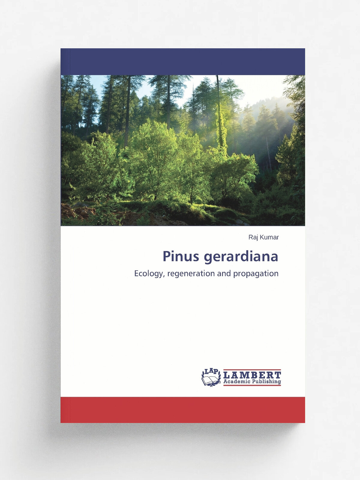 Pinus gerardiana