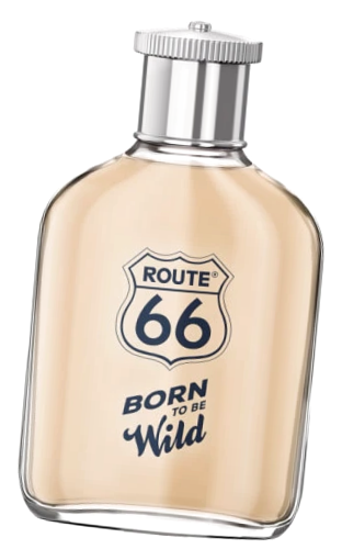 Мужской аромат Рут 66 Борн Ту Би Вайлд 100 мл - Route 66 Born To Be Wild туалетная вода