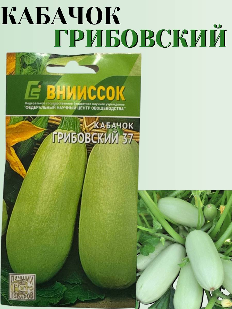 Кабачок грибовский 37 , семена , 10шт