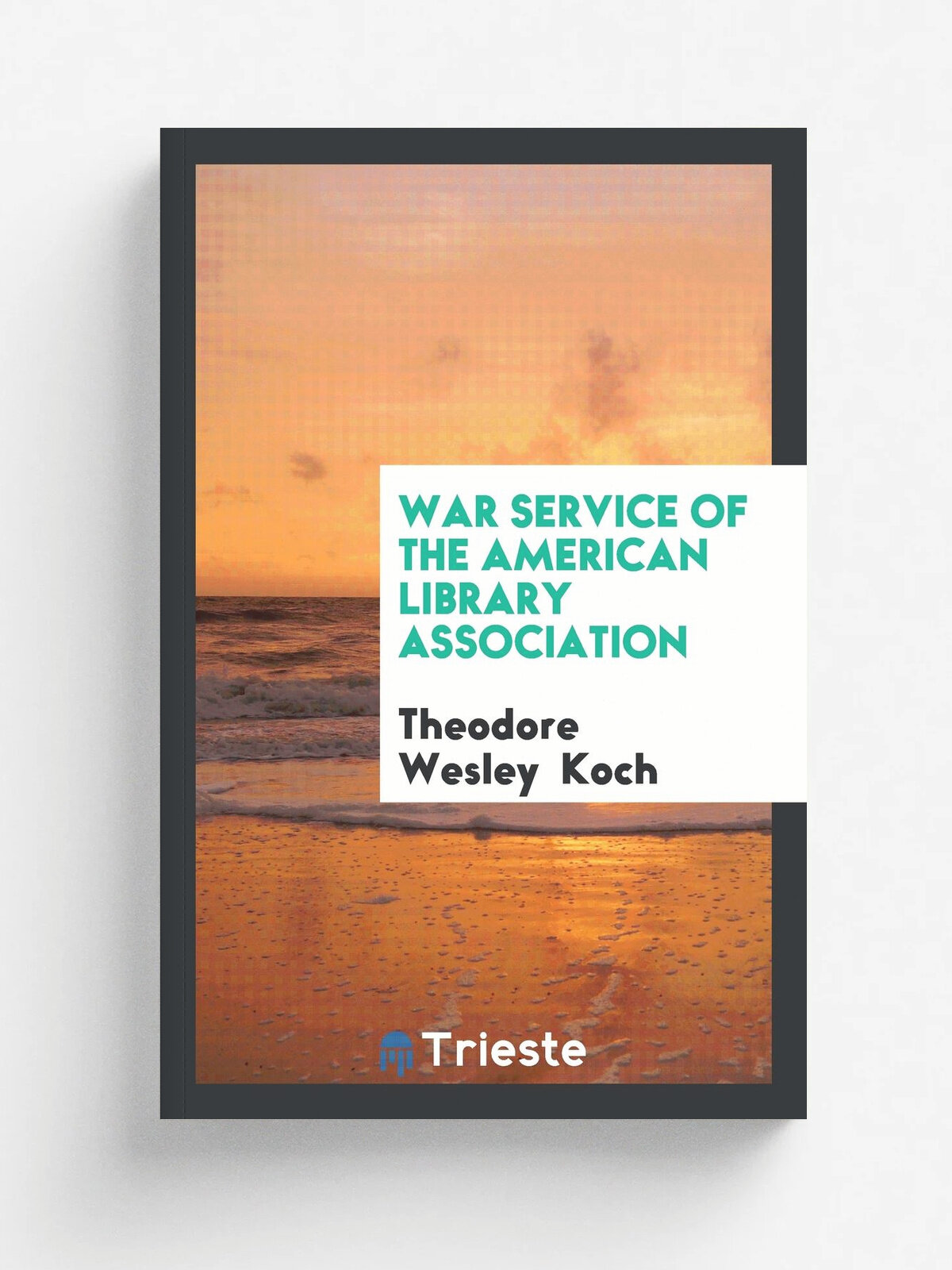 War Service of the American Library Association