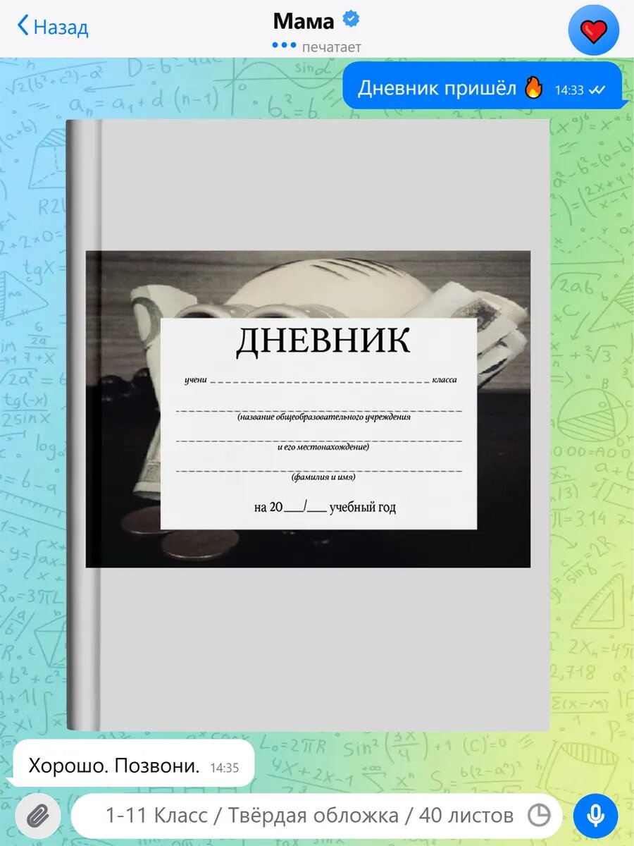 Школьный дневник с принтом Роблокс